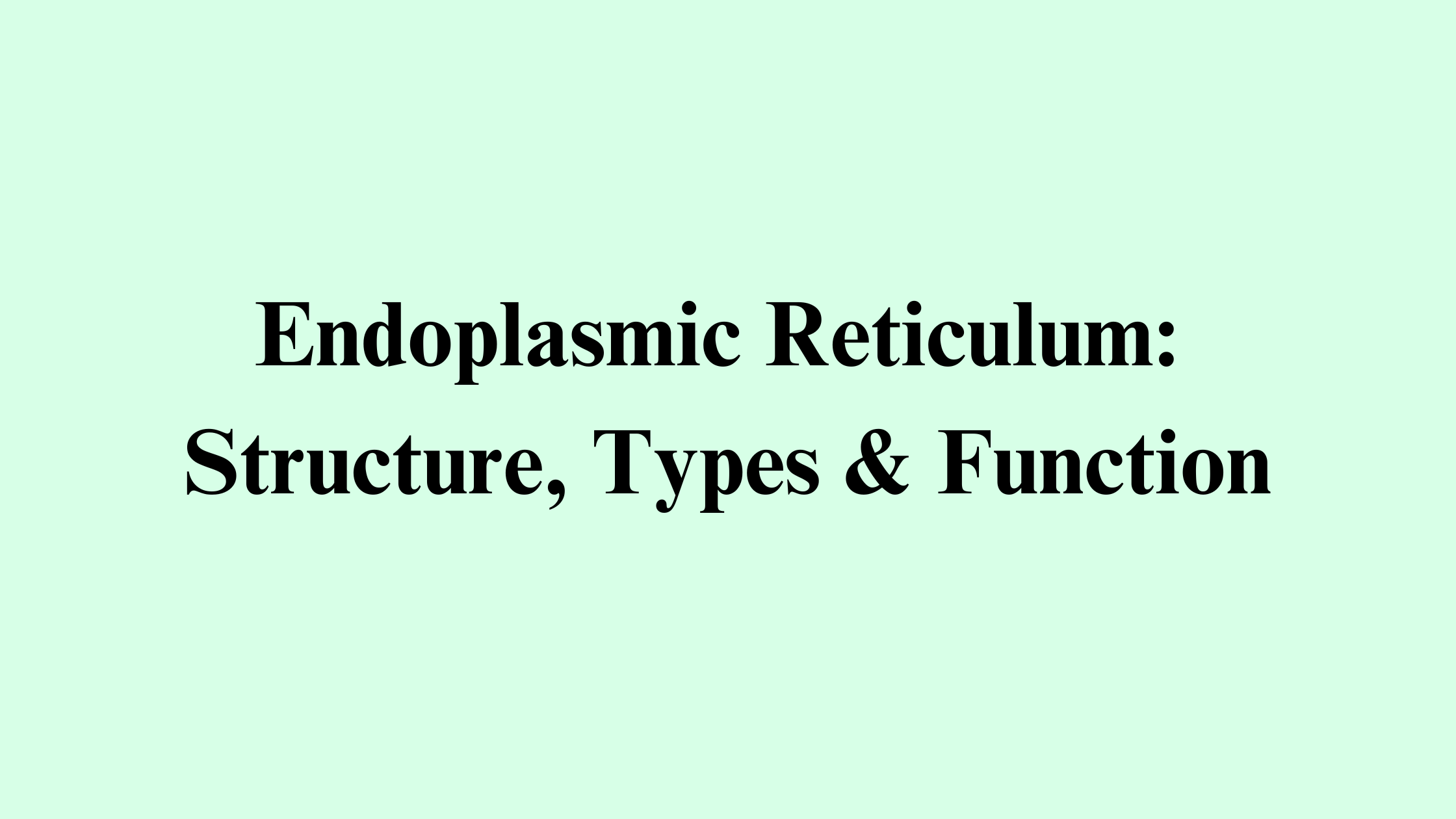 Rough Endoplasmic Reticulum Function Plant Cell