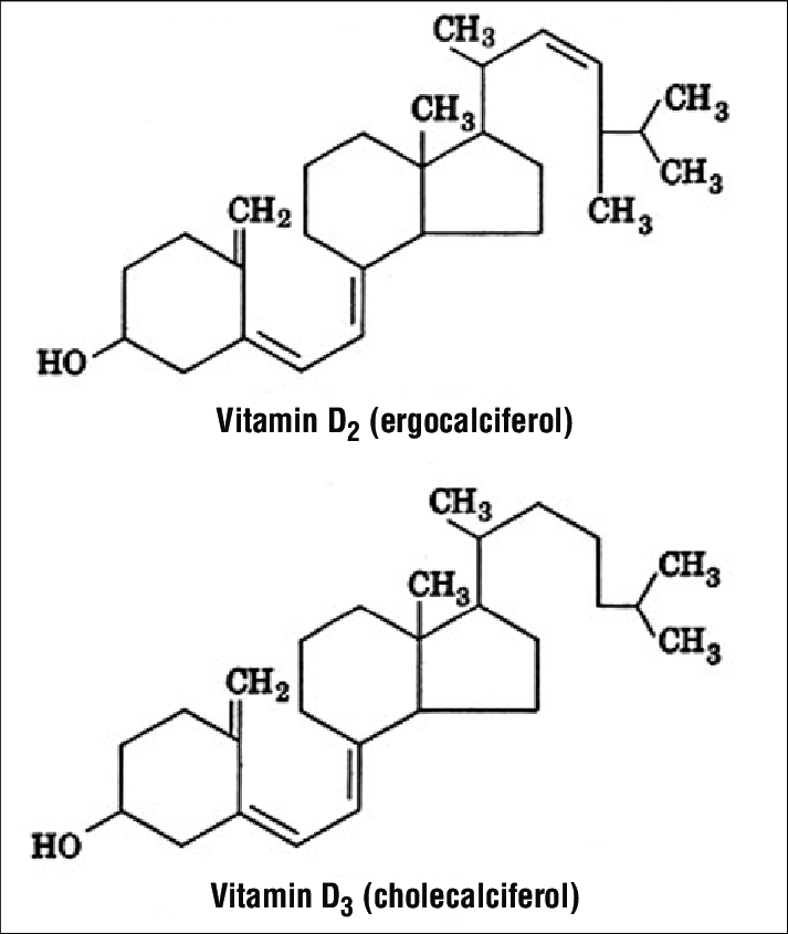 Properties And Biological Role Of Vitamin D
