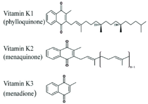 Properties & Biological Importance of Vitamin K