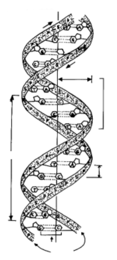 NIOS Biology Solved Question Paper October 2021