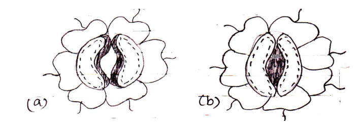 NIOS Question Paper Class 12 April 2019 Set A