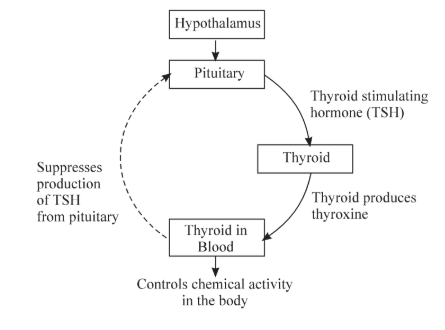 NIOS Plus Two Biology Question Paper April 2017