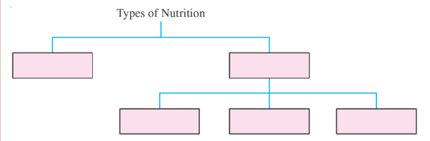NIOS Class 10 Science Chapter 22 Question Answers